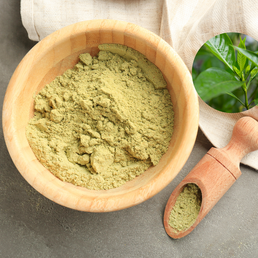 Adulsa Powder| अडुळसा पावडर – World of Ayurveda